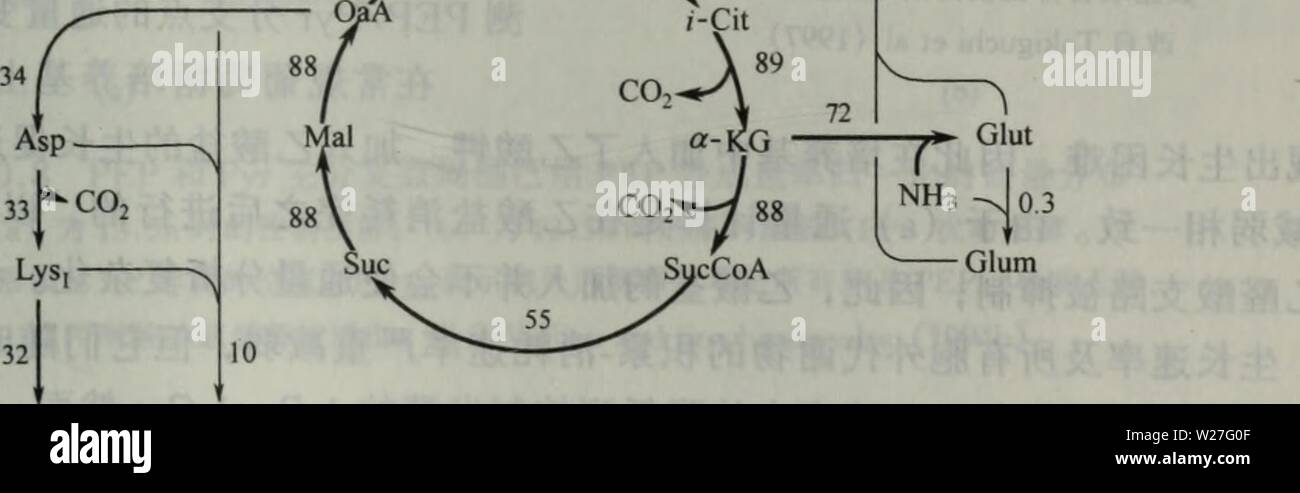 Ye cheng hi-res stock photography and images - Alamy