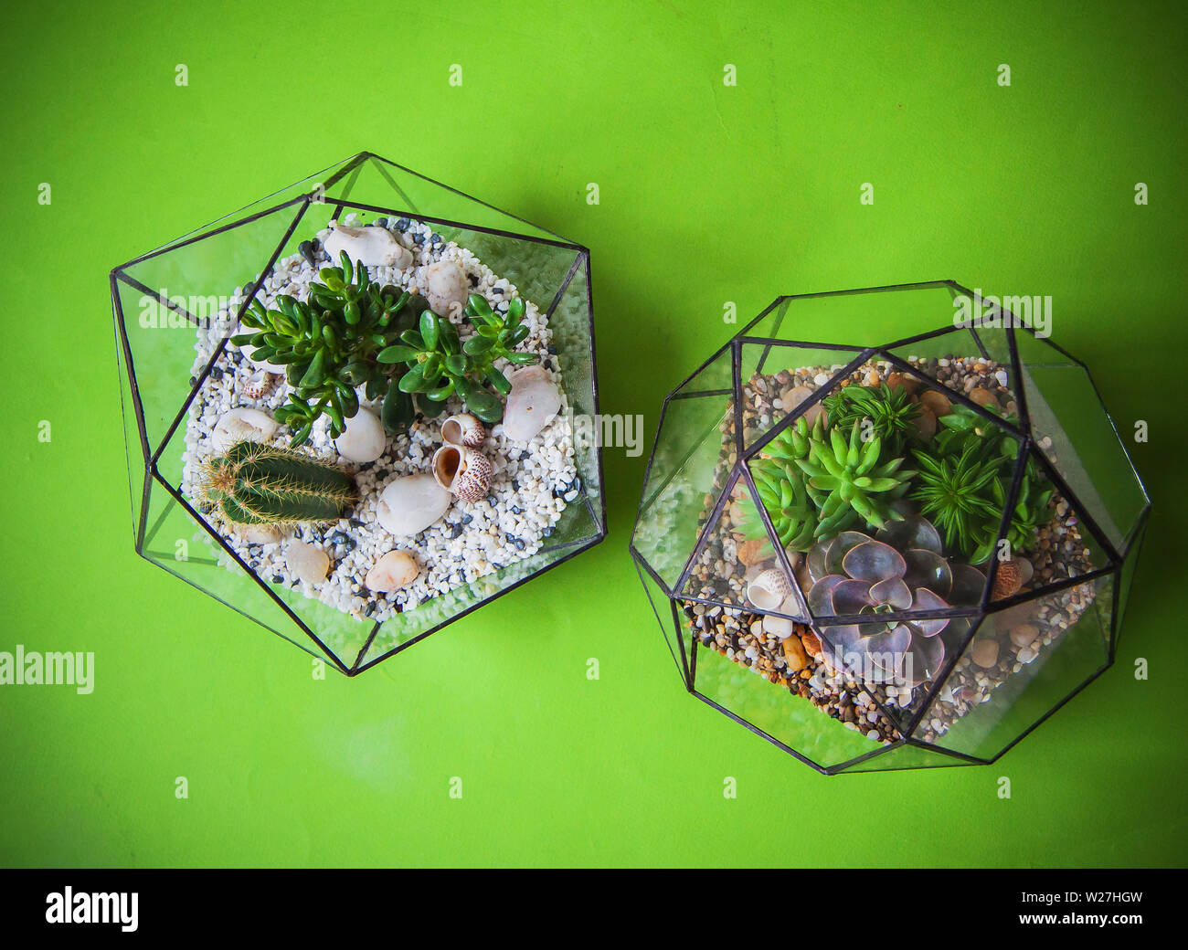 glass florarium for plant, beautiful geometric vase for interior Stock ...