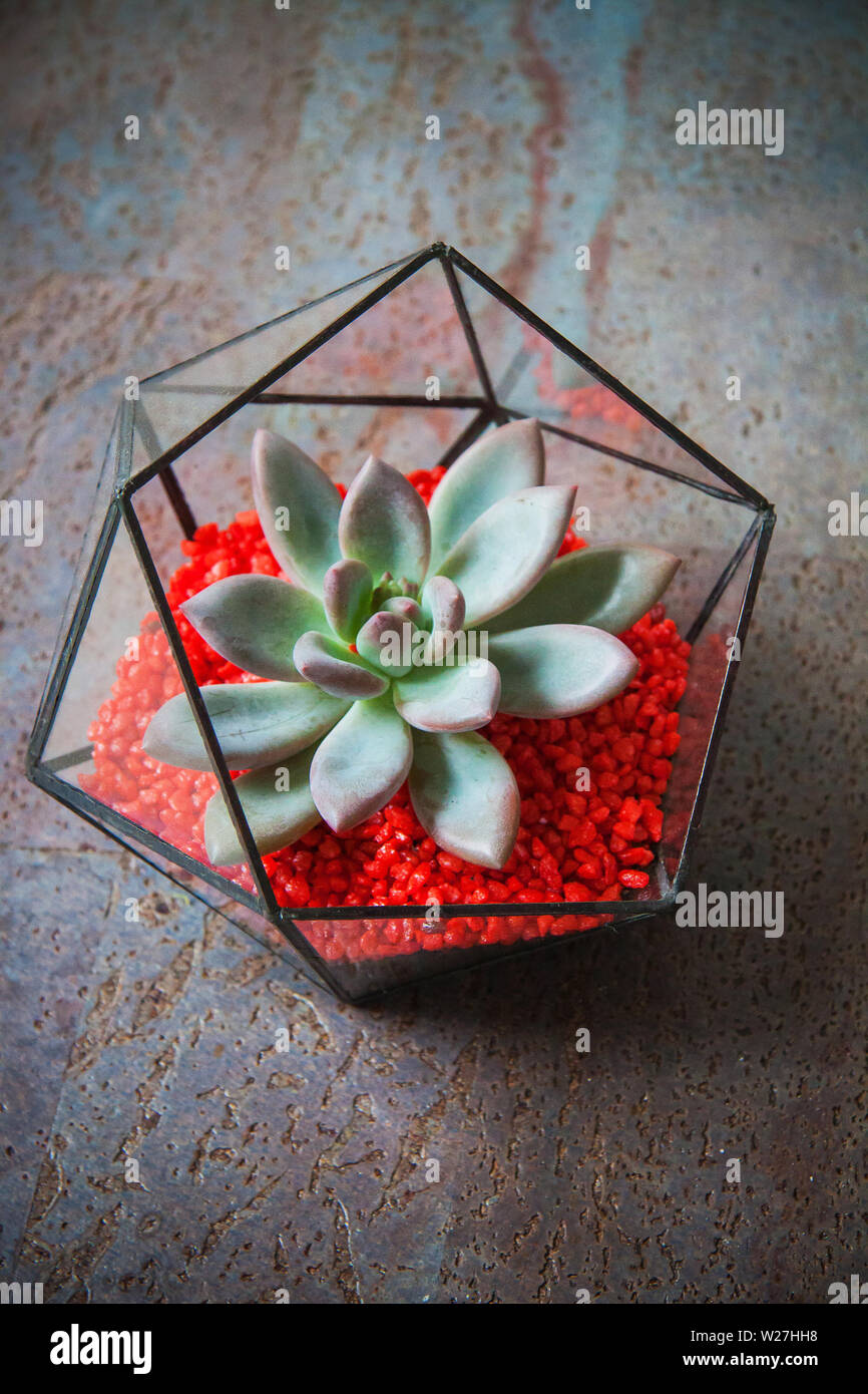 Safety vase hi-res stock photography and images - Alamy