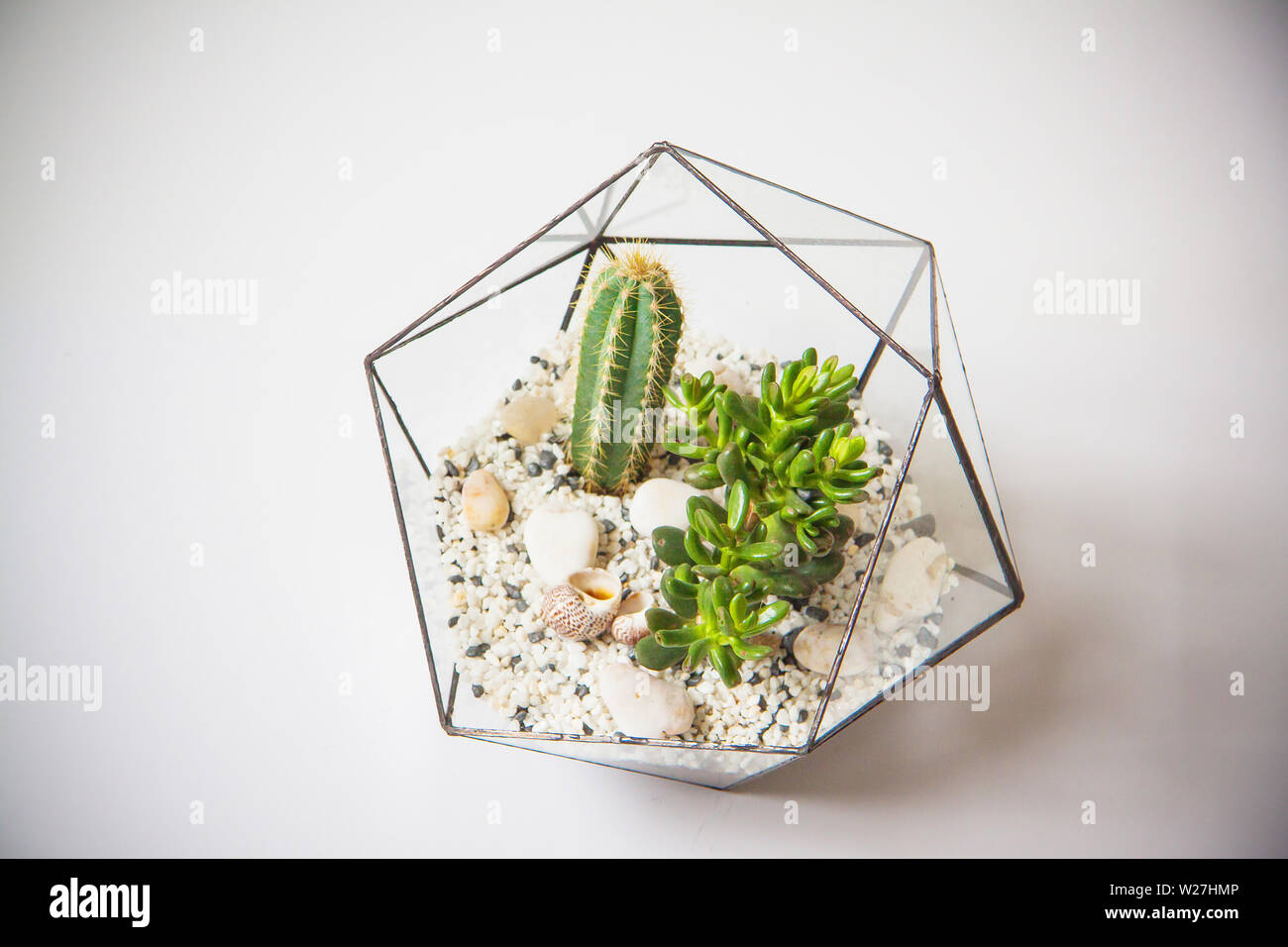 glass florarium for plant, beautiful geometric vase for interior Stock ...