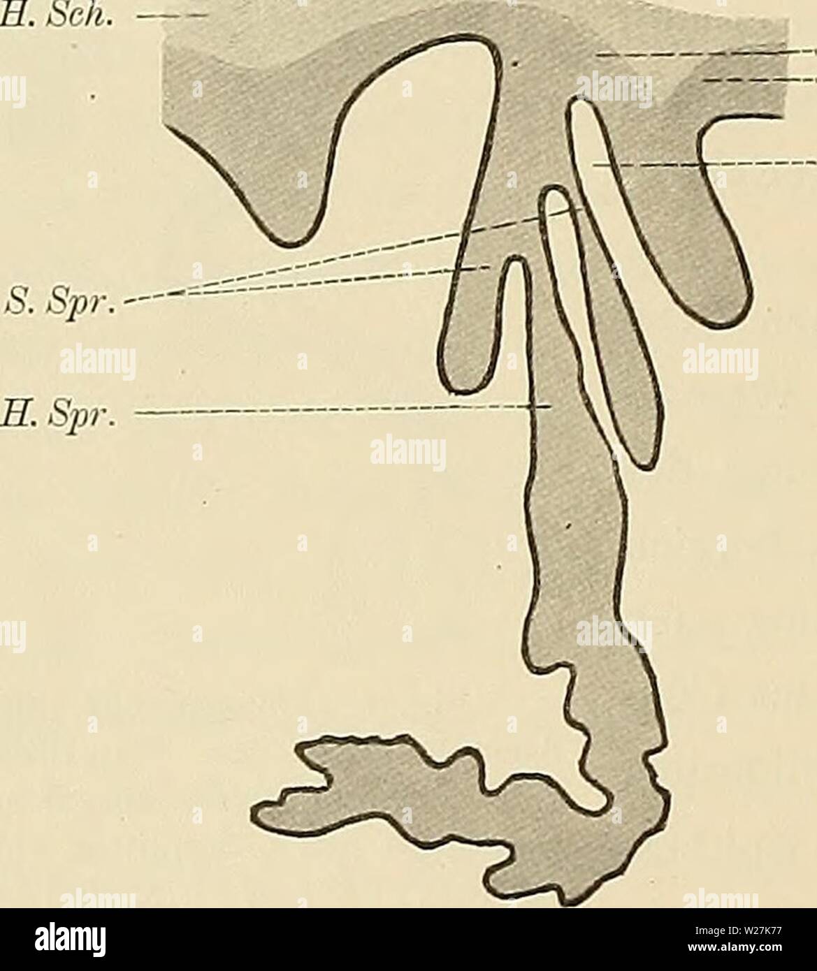 Rudimenta hi-res stock photography and images - Alamy