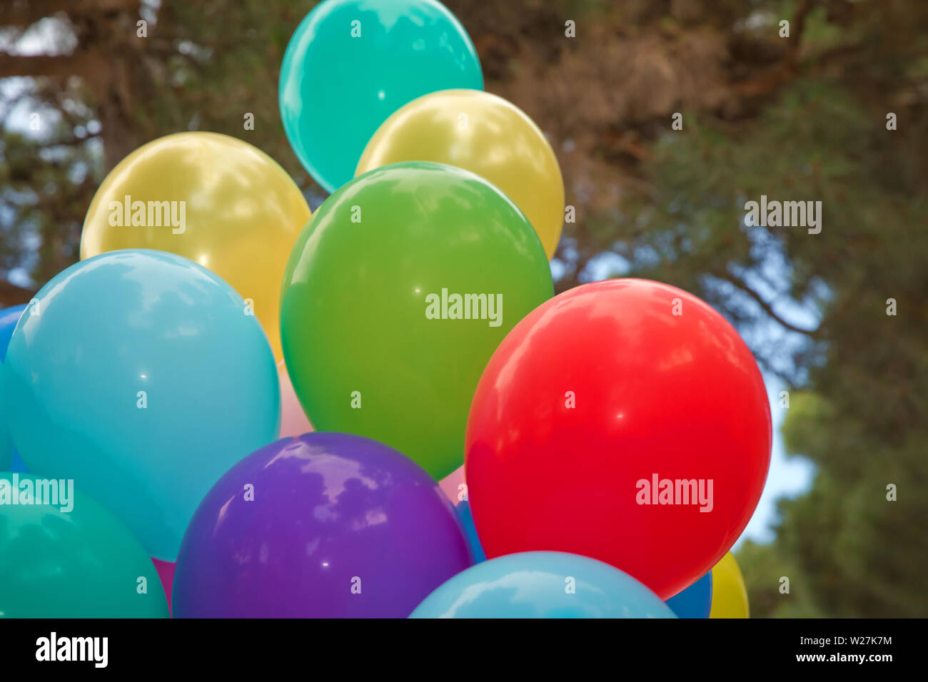 Colorfull balloons flying in the sky. Bunch of colorful balloons in the ...