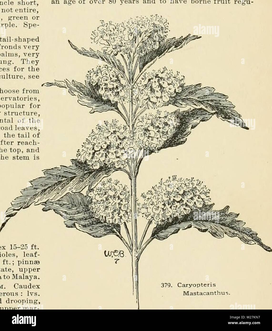 6 species hi-res stock photography and images - Alamy