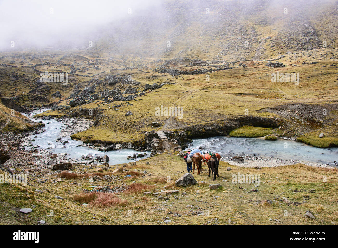 Horse trekking across the Cordillera Real mountain range, Bolivia Stock ...