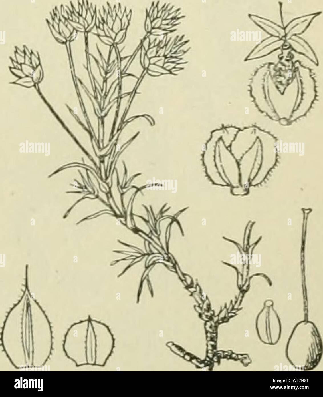 Afleiding hi-res stock photography and images - Alamy