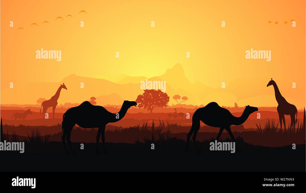 Set of Camel Vector Stock Vector Image & Art - Alamy