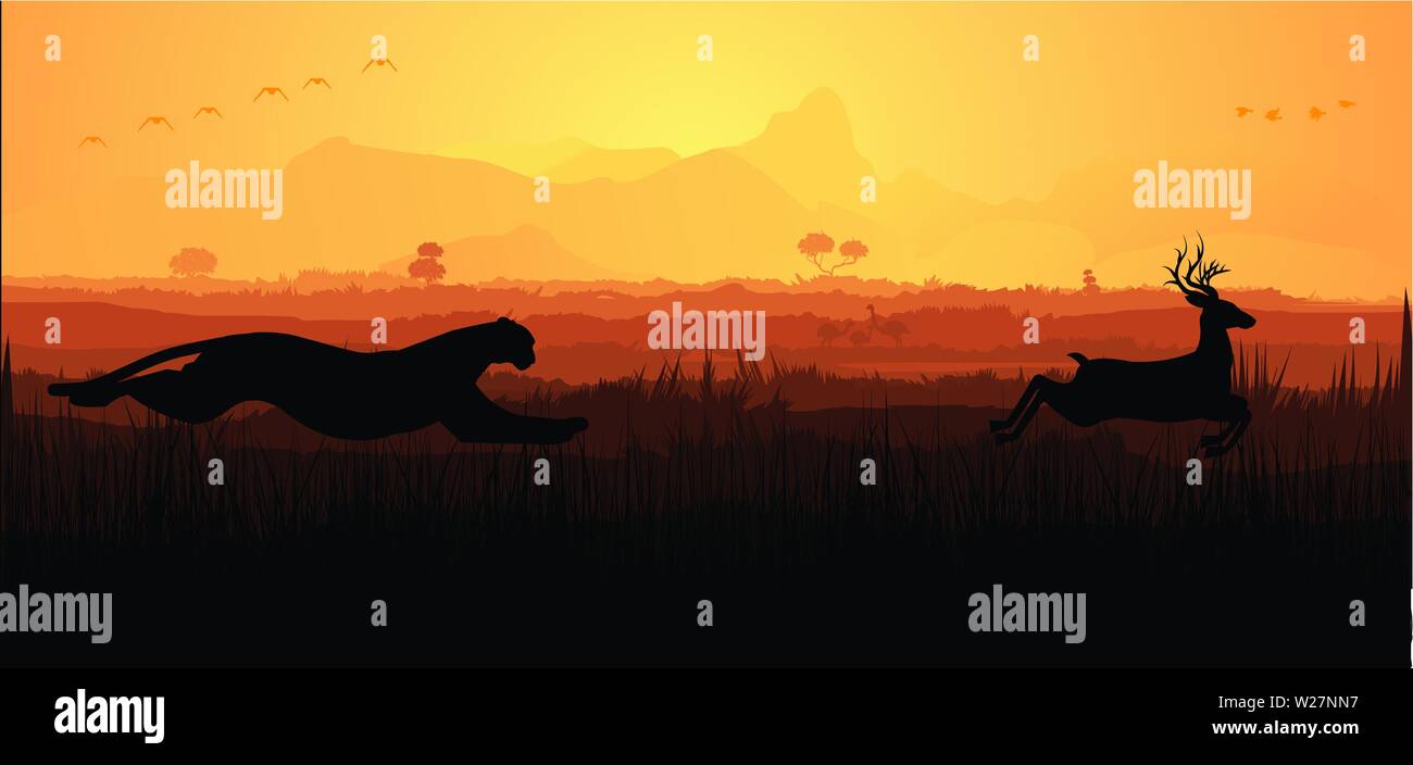 Cheetah hunting deer silhouette Stock Vector Image & Art - Alamy
