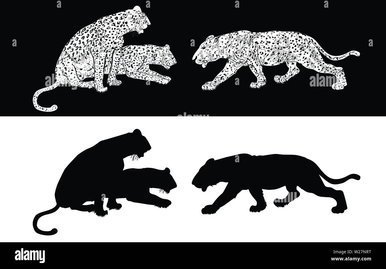 Set of cheetah silhouette Stock Vector Image & Art - Alamy