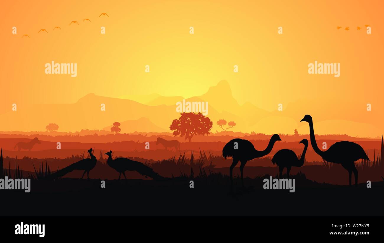 Emu Vector Silhouette set Stock Vector Image & Art - Alamy
