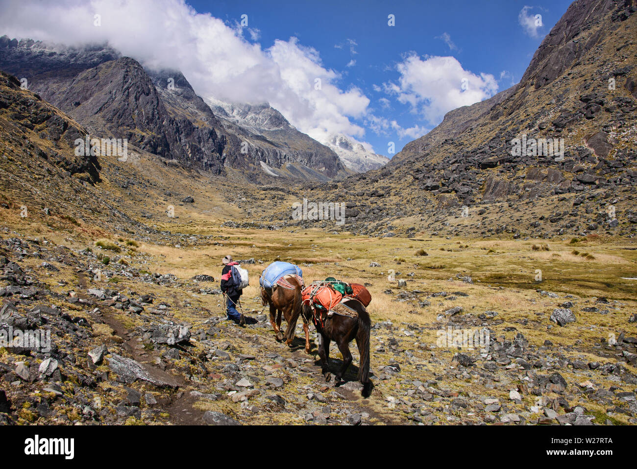 Horse trekking across the Cordillera Real mountain range, Bolivia Stock ...
