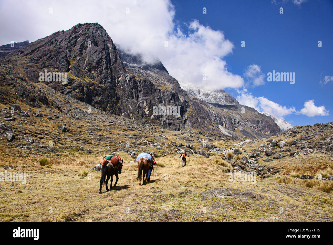 Horse trekking across the Cordillera Real mountain range, Bolivia Stock ...