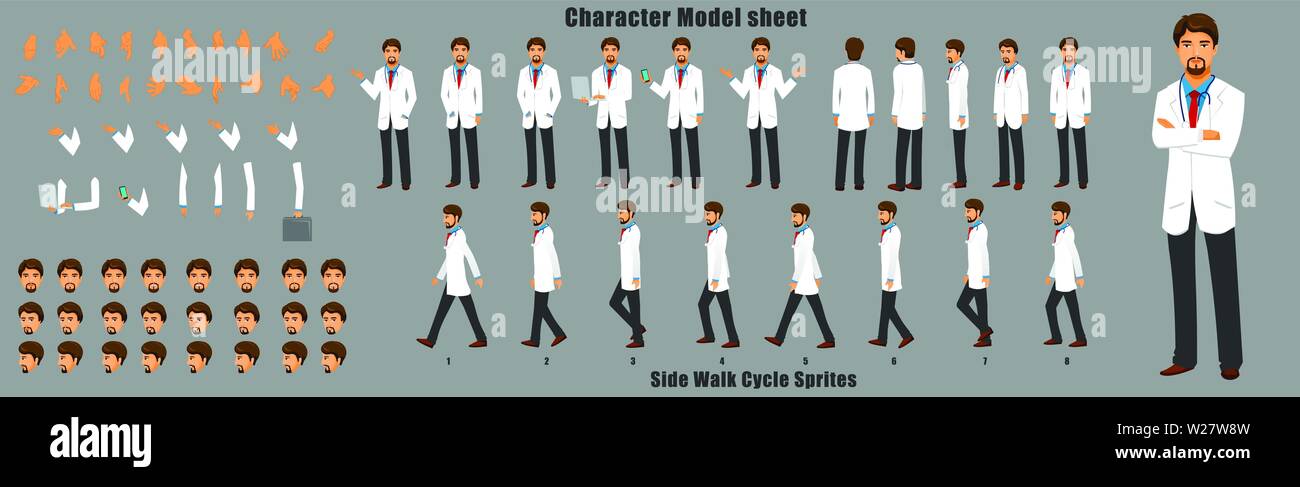 Doctor Character Model sheet with Walk cycle Animation Sequence Stock Vector Image & Art - Alamy