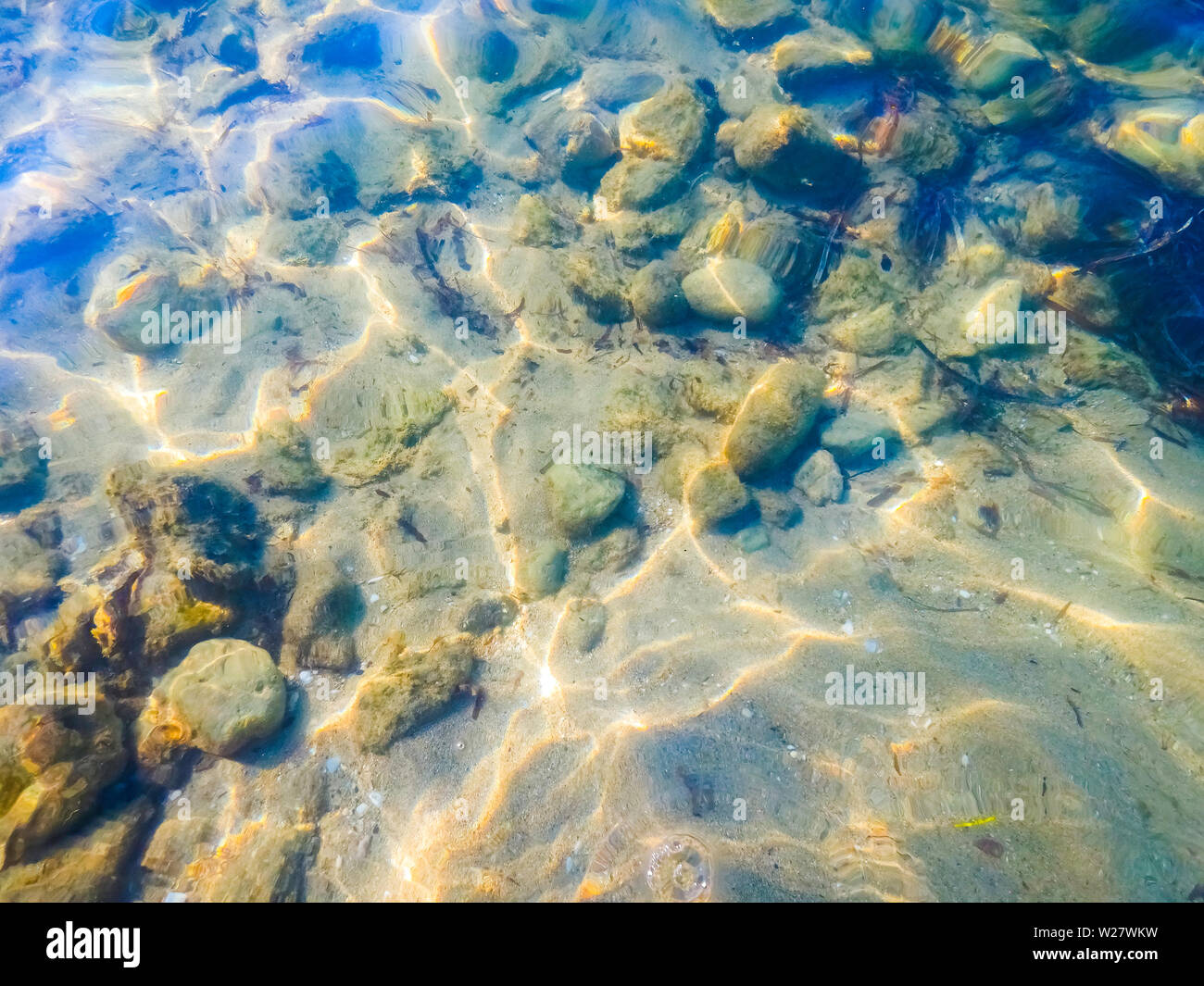 Underwater shot of sea floor bottom - Image of ocean floor - Photo ...