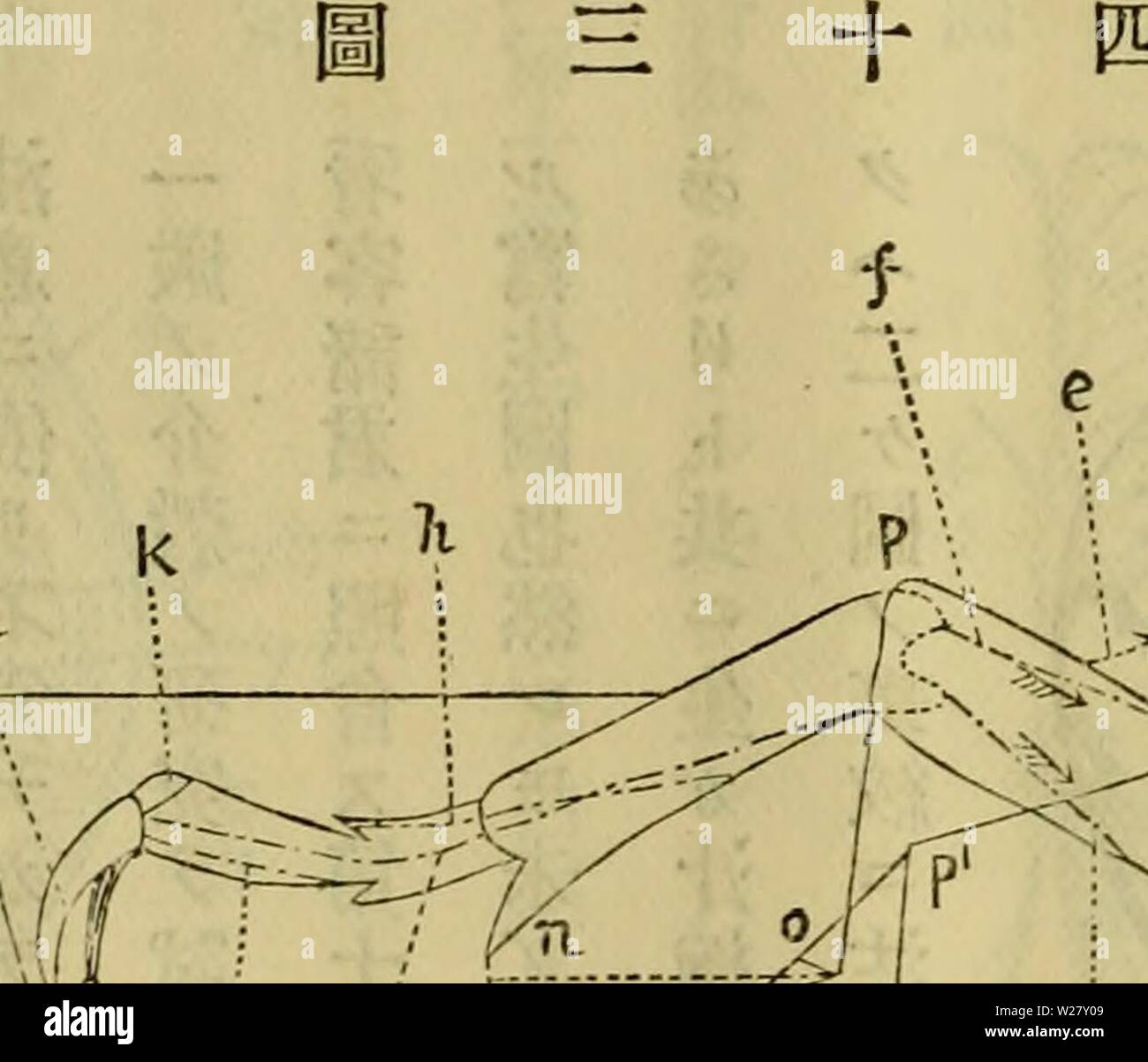Archive image from page 327 of Dbutsugaku zasshi (1889 Stock Photo - Alamy
