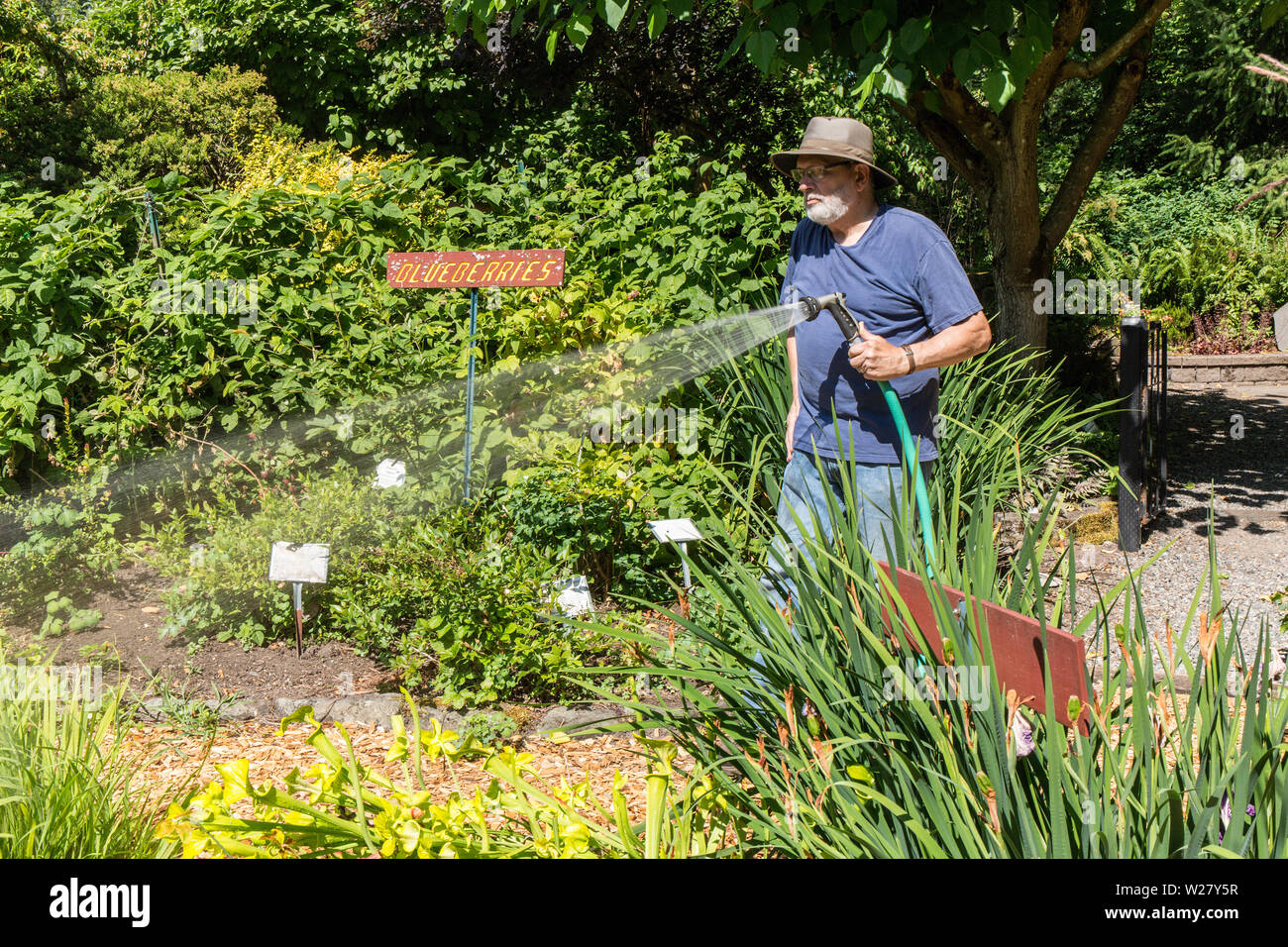 Pea Patch Garden Sign High Resolution Stock Photography and Images - Alamy