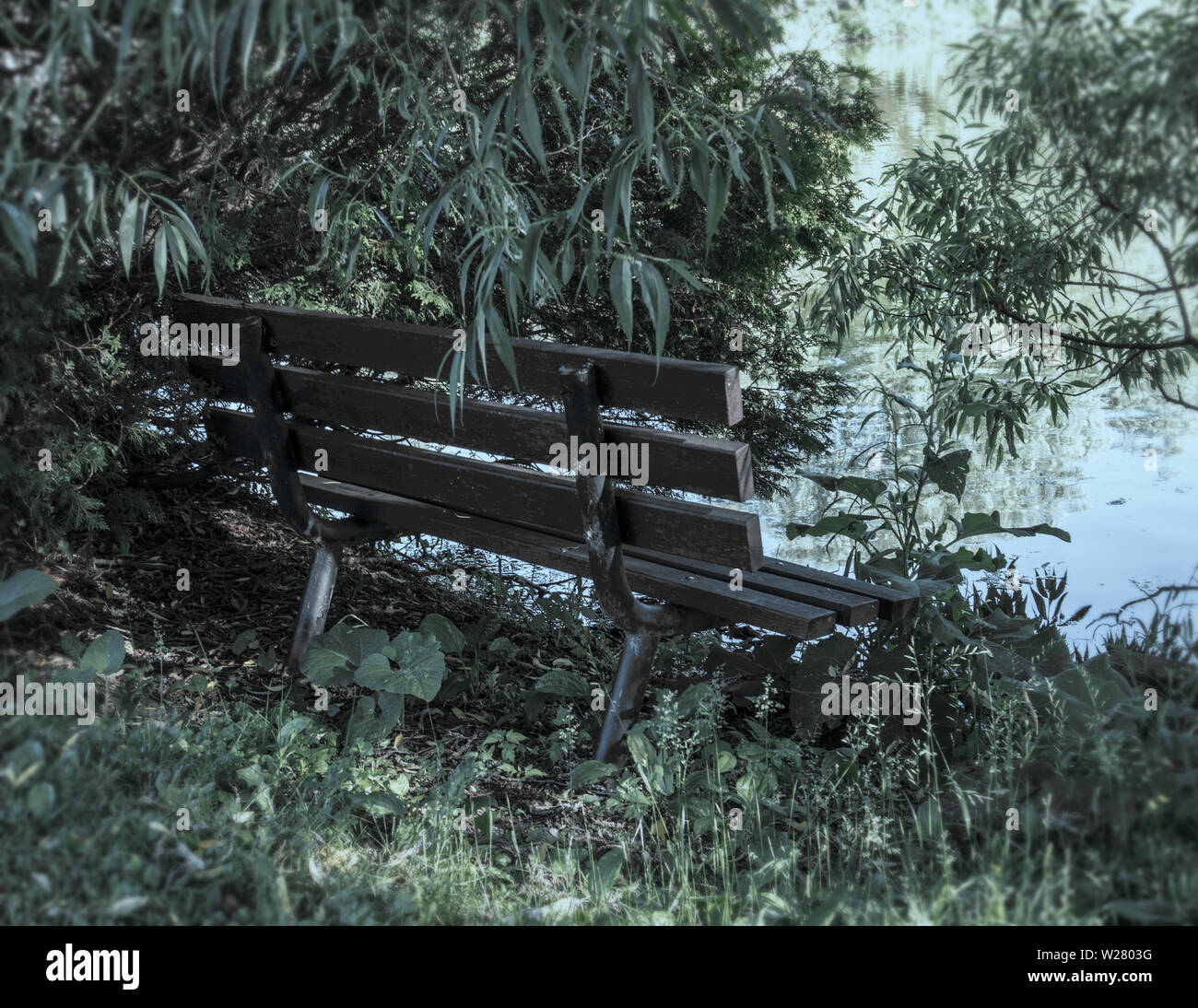 Lakeshore Vegetation High Resolution Stock Photography and Images - Alamy