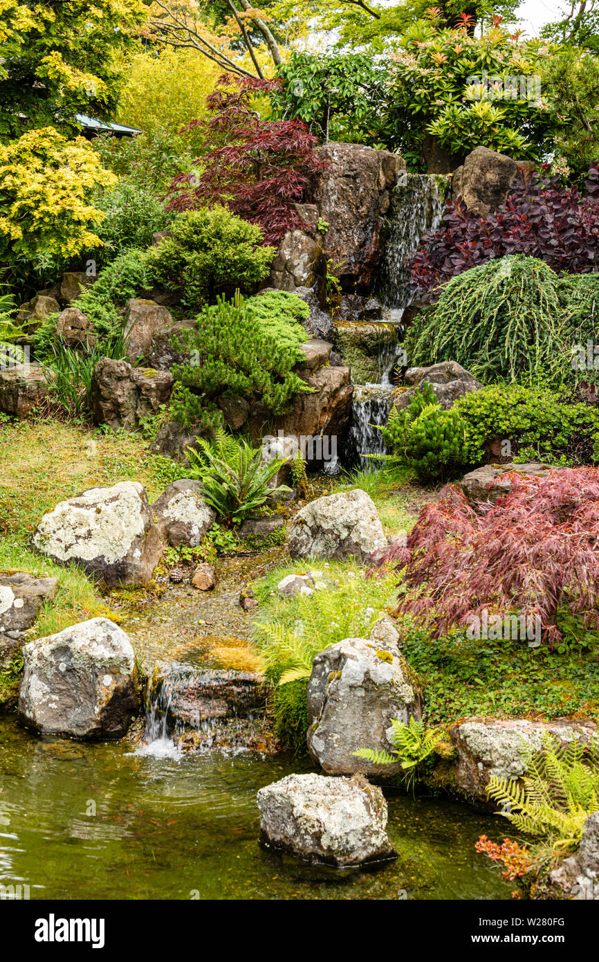 Japanese Tea Garden Waterfall