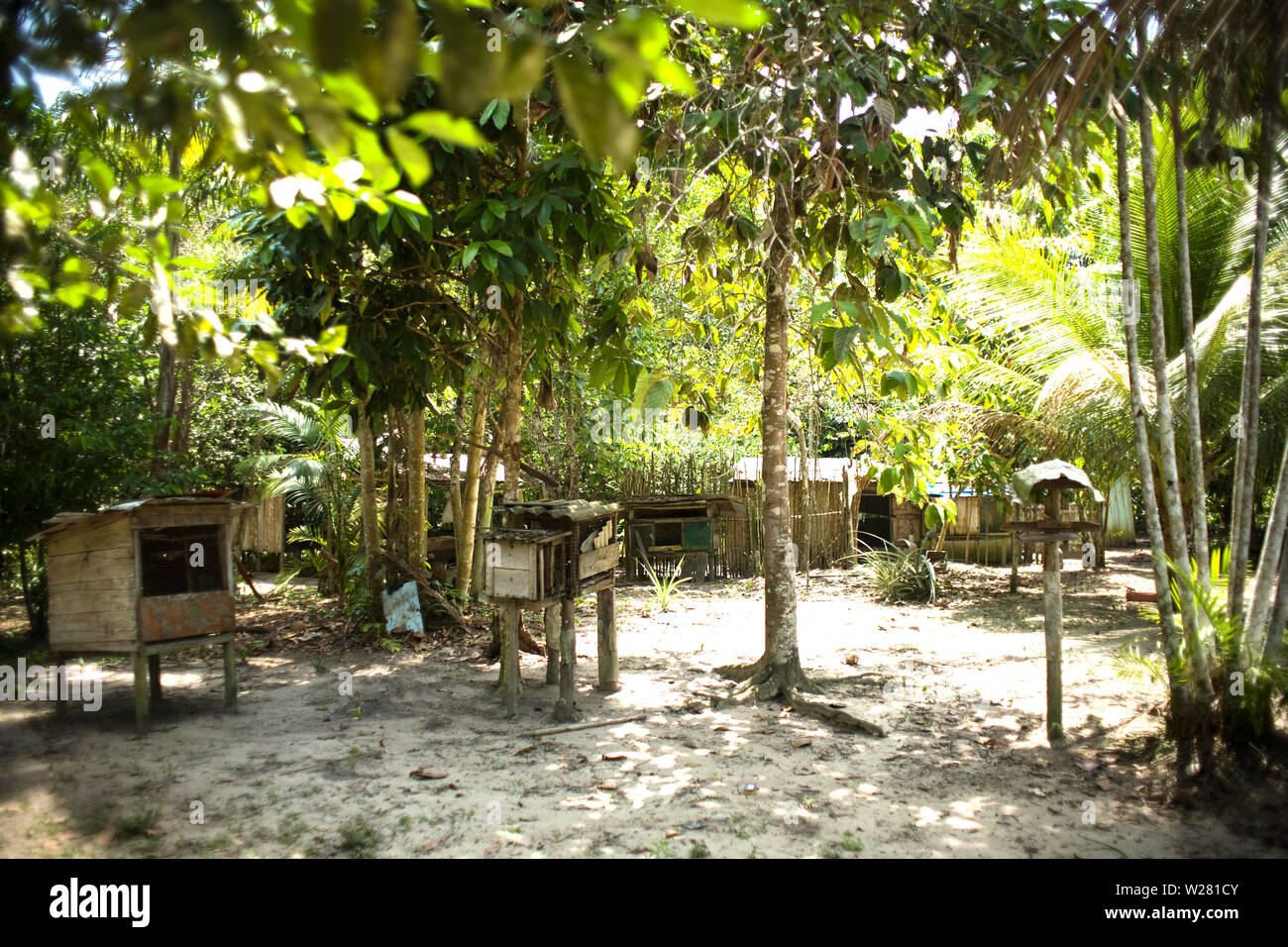 Community gardens brazil hi-res stock photography and images - Alamy