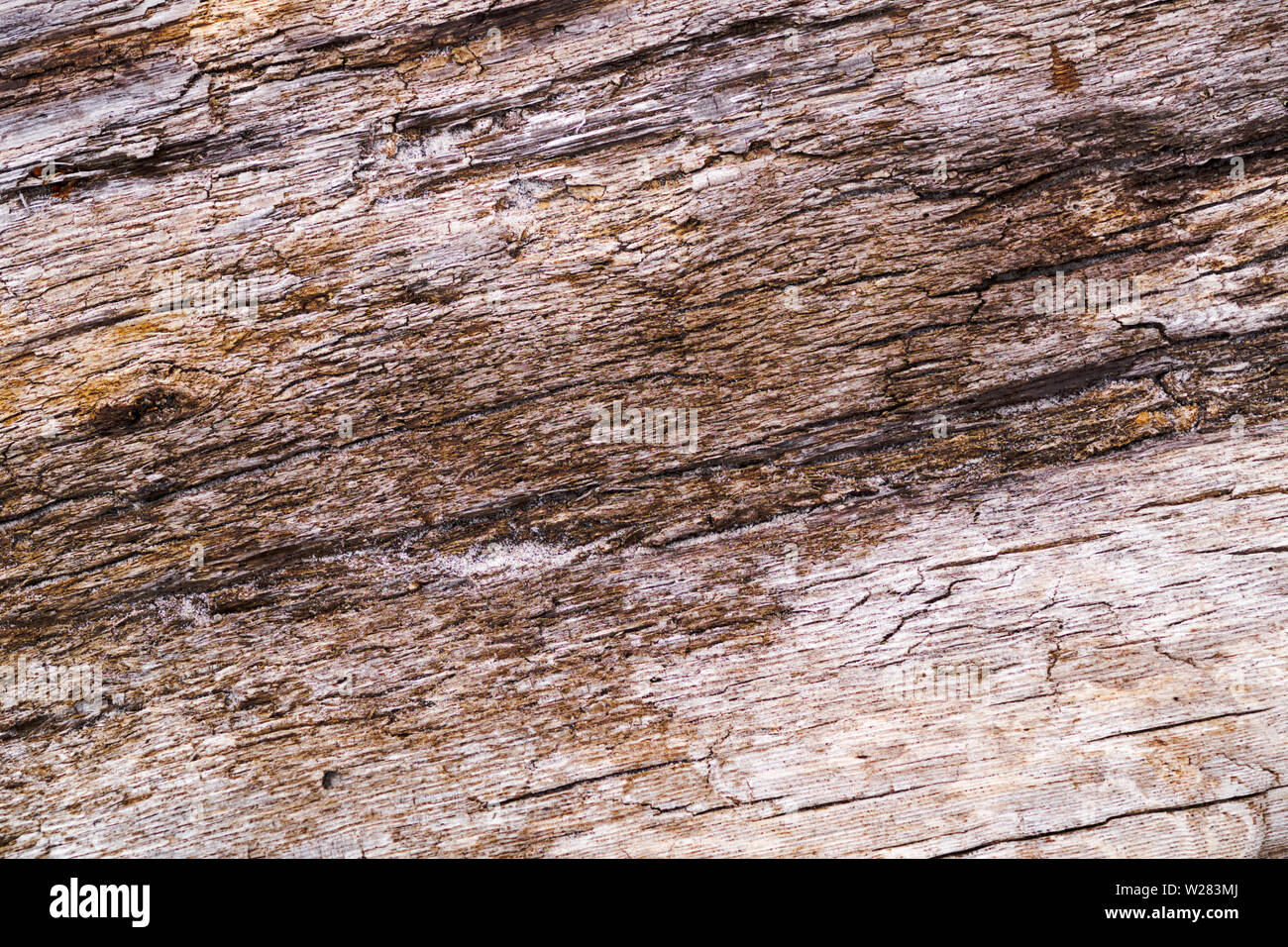 Driftwood texture hi-res stock photography and images - Alamy