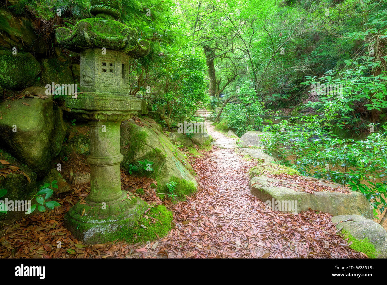 Trail leading through a Japanese forest with a stone Lantern Stock ...