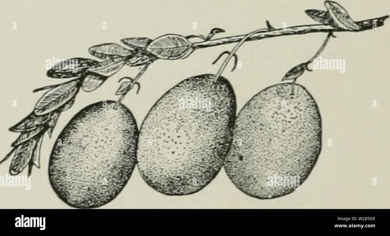 Four ridges hi-res stock photography and images - Alamy