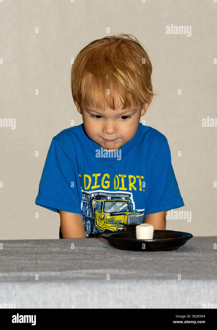 Young child sitting at a table waiting patiently for a marshmallow ...