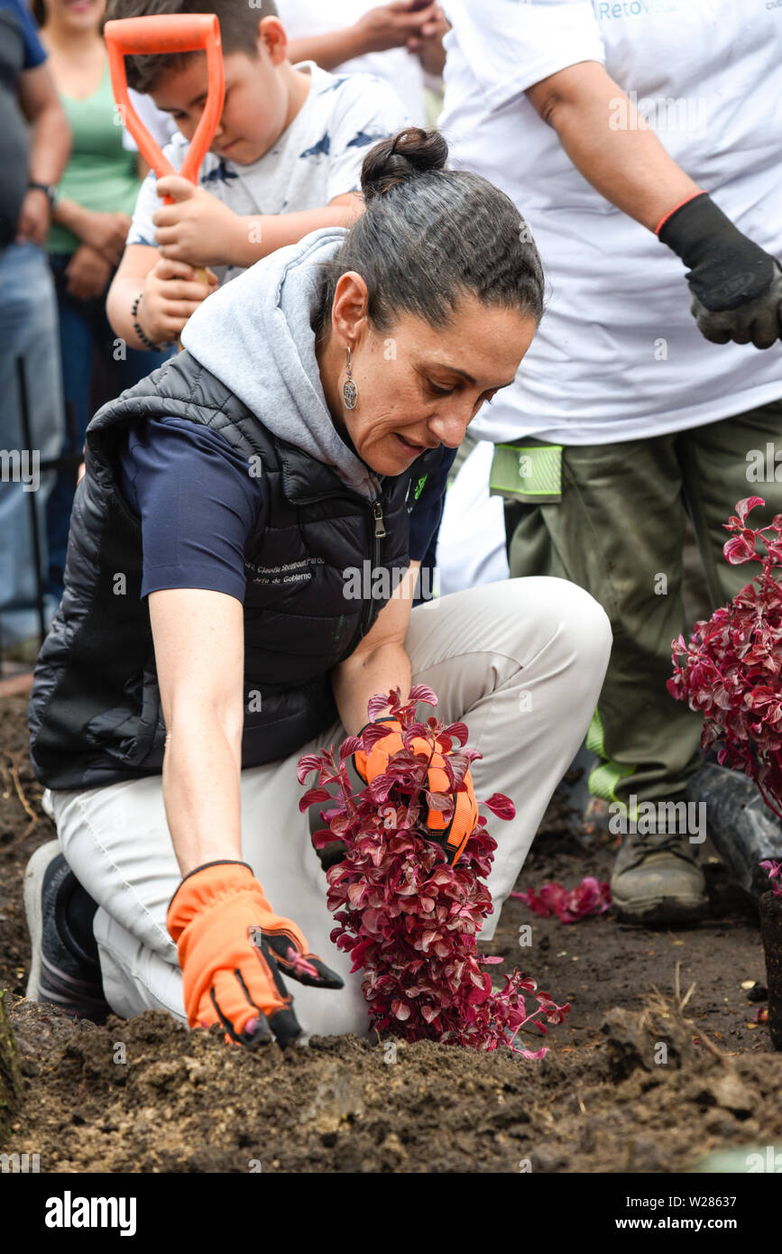 Claudia sheinbaum mexico city hi-res stock photography and images - Alamy