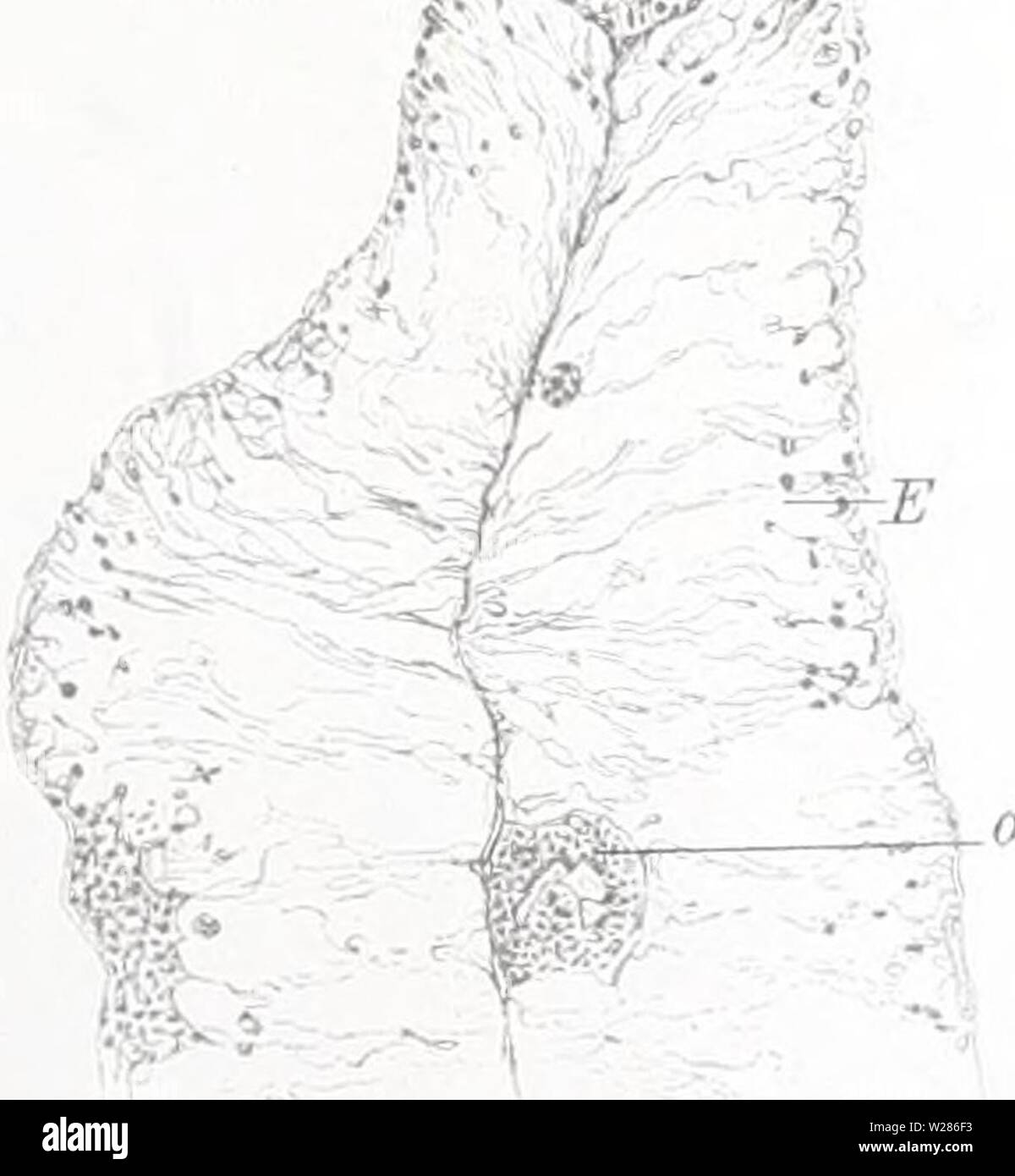 Fi 370 hi-res stock photography and images - Alamy