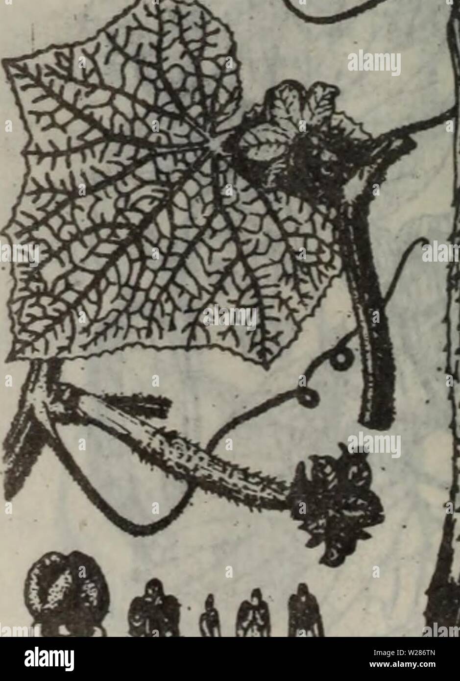 Oa ee hi-res stock photography and images - Alamy