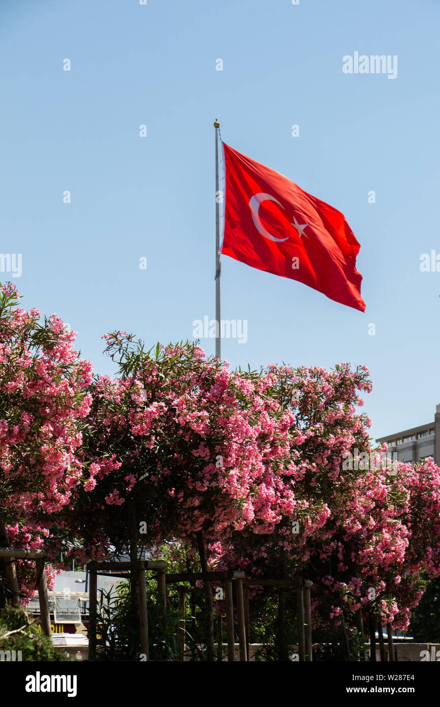 Turkish flag among trees with pink flowers, blue sky on the background ...