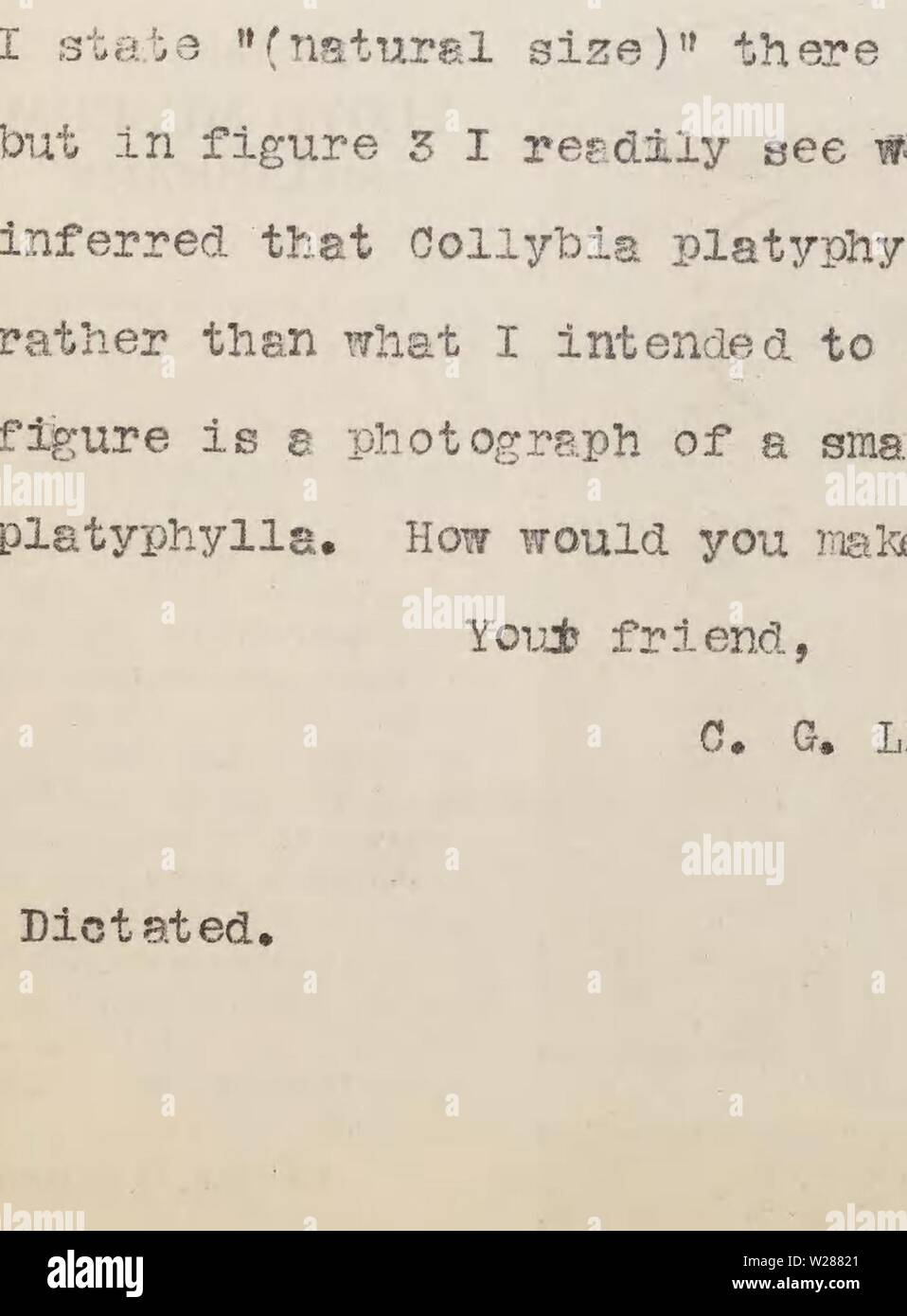 Archive image from page 382 of Curtis Gates Lloyd letters to Stock ...