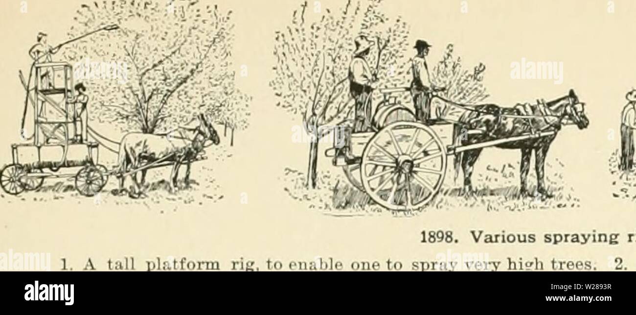 Iva image hi-res stock photography and images - Alamy