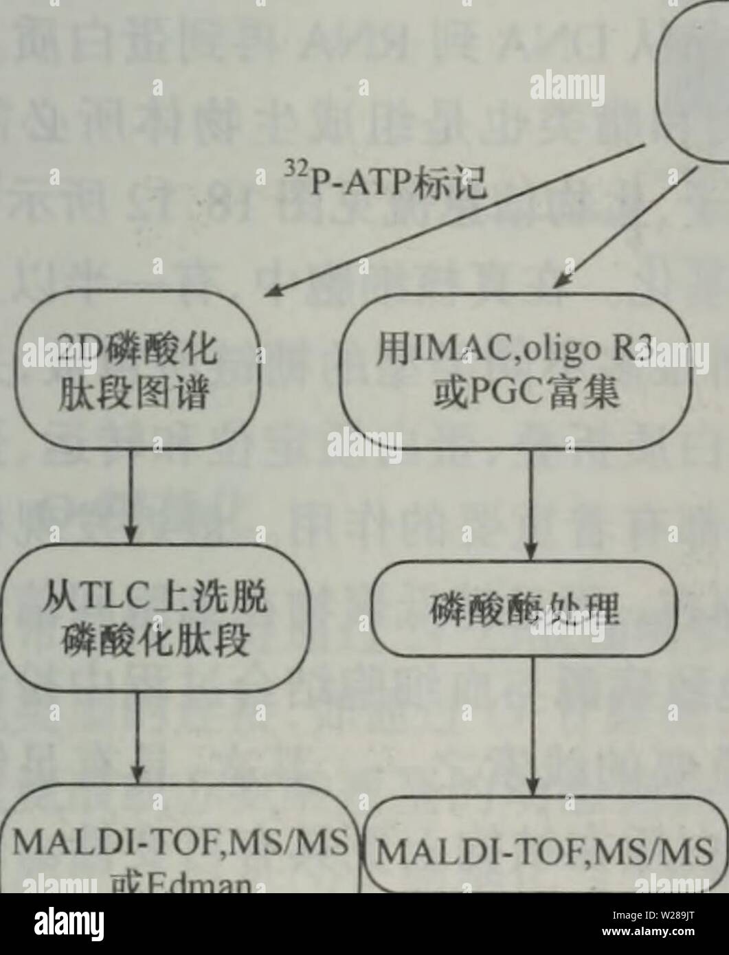 Archive image from page 394 of dan bai zhi hua xue. dan bai zhi hua xue ...