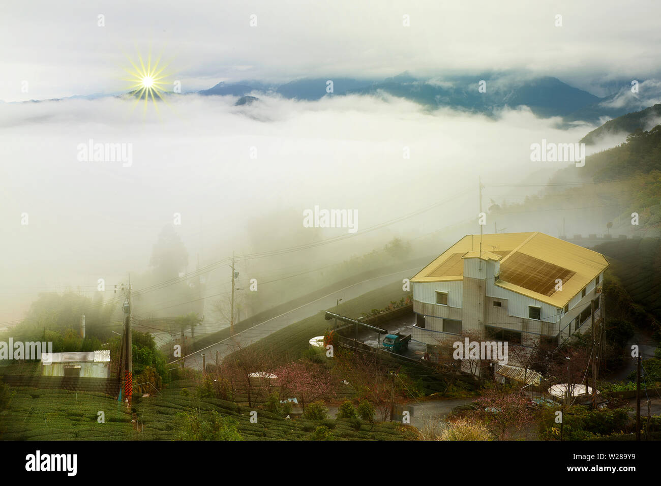 The Sunset in the mountain forest landscape, Taiwan Stock Photo - Alamy