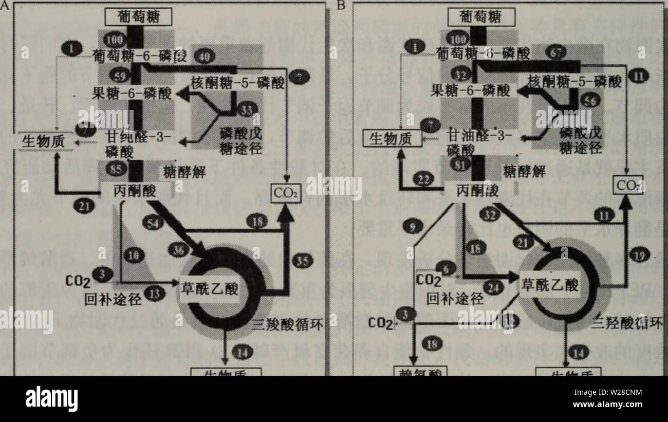 Ke fang hi-res stock photography and images - Alamy