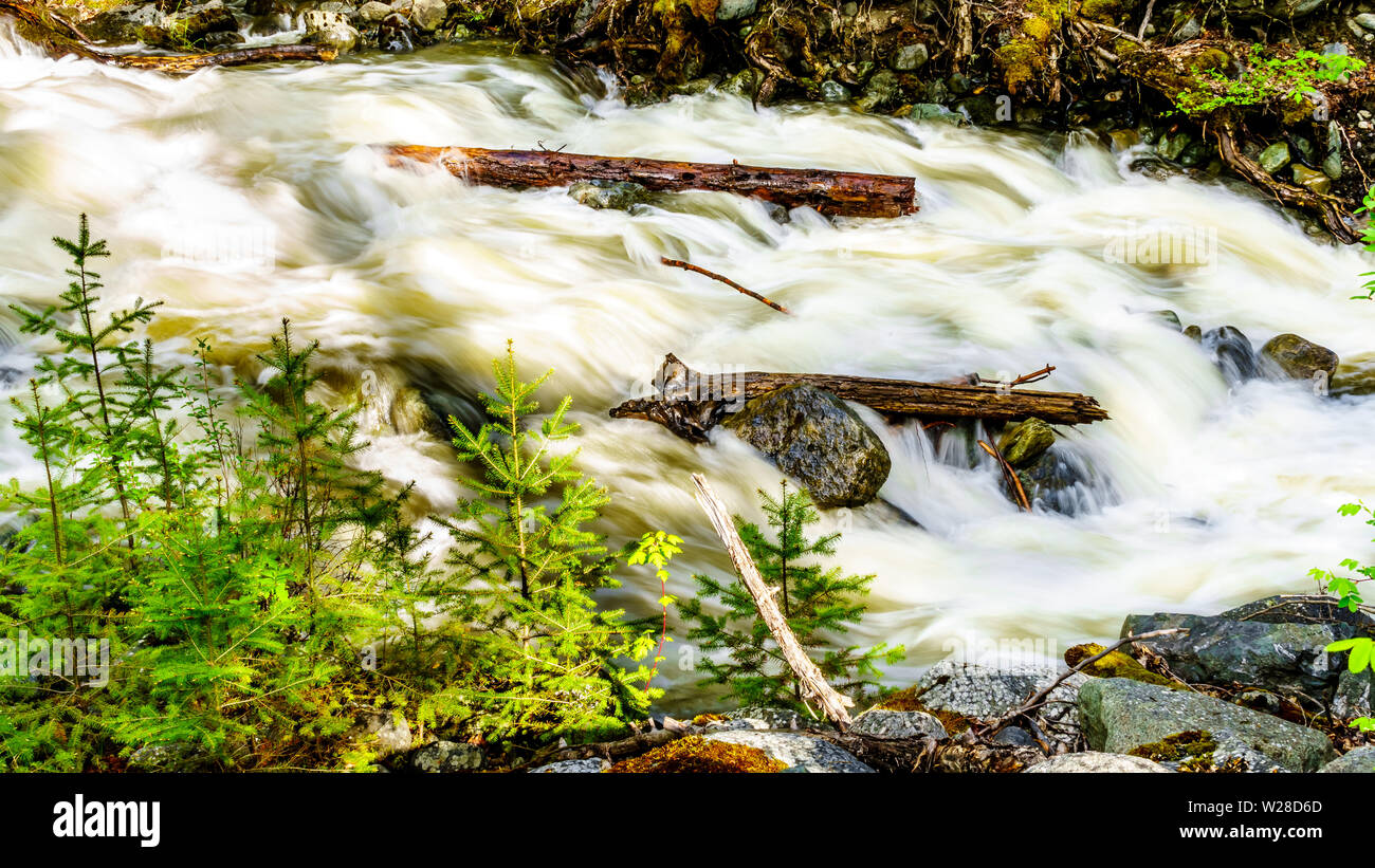Spring snow melt tumbling over Logs and Boulders on Mcgillivray Creek ...