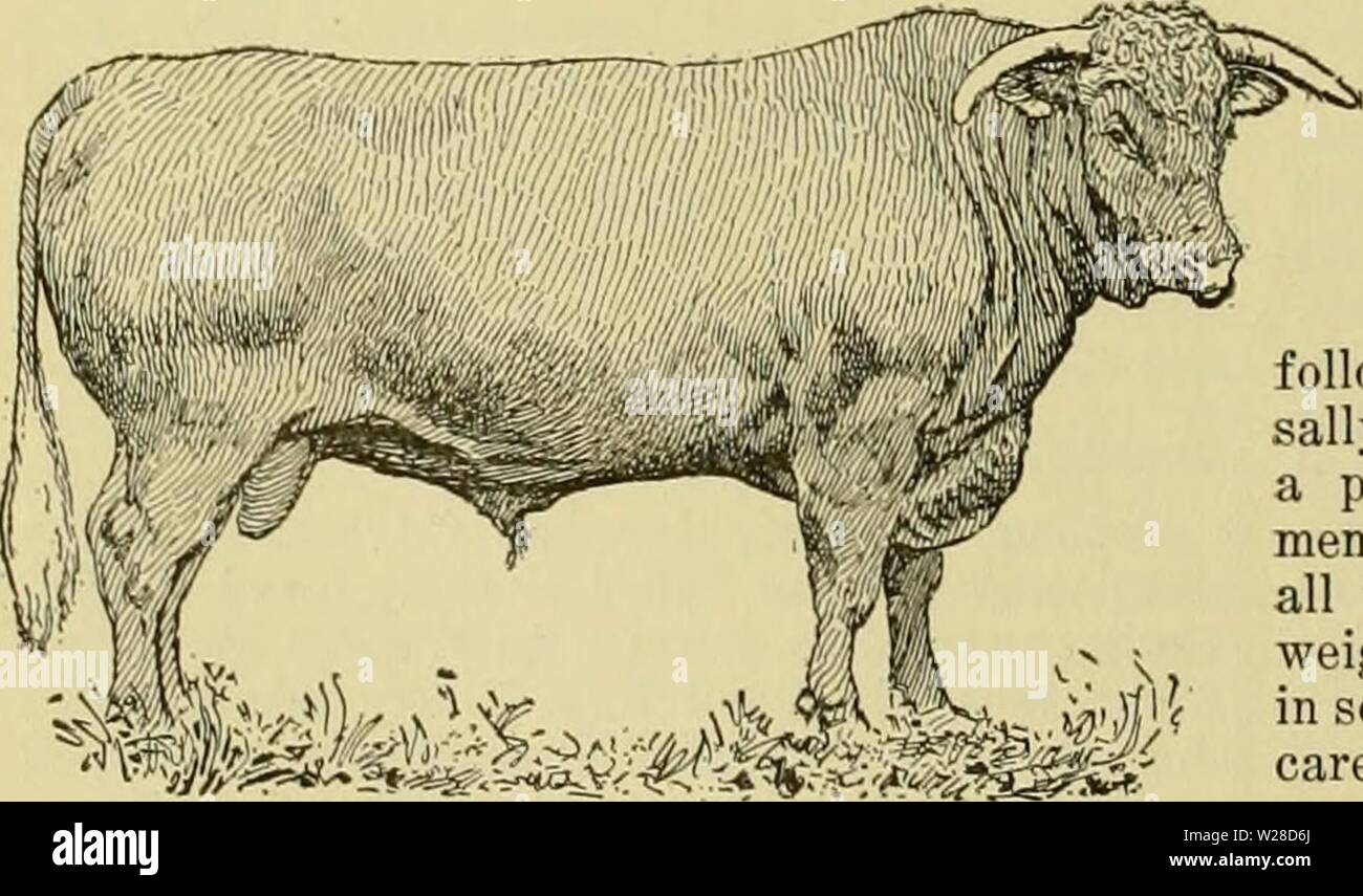 Archive image from page 423 of Cyclopedia of farm animals (1922 Stock ...