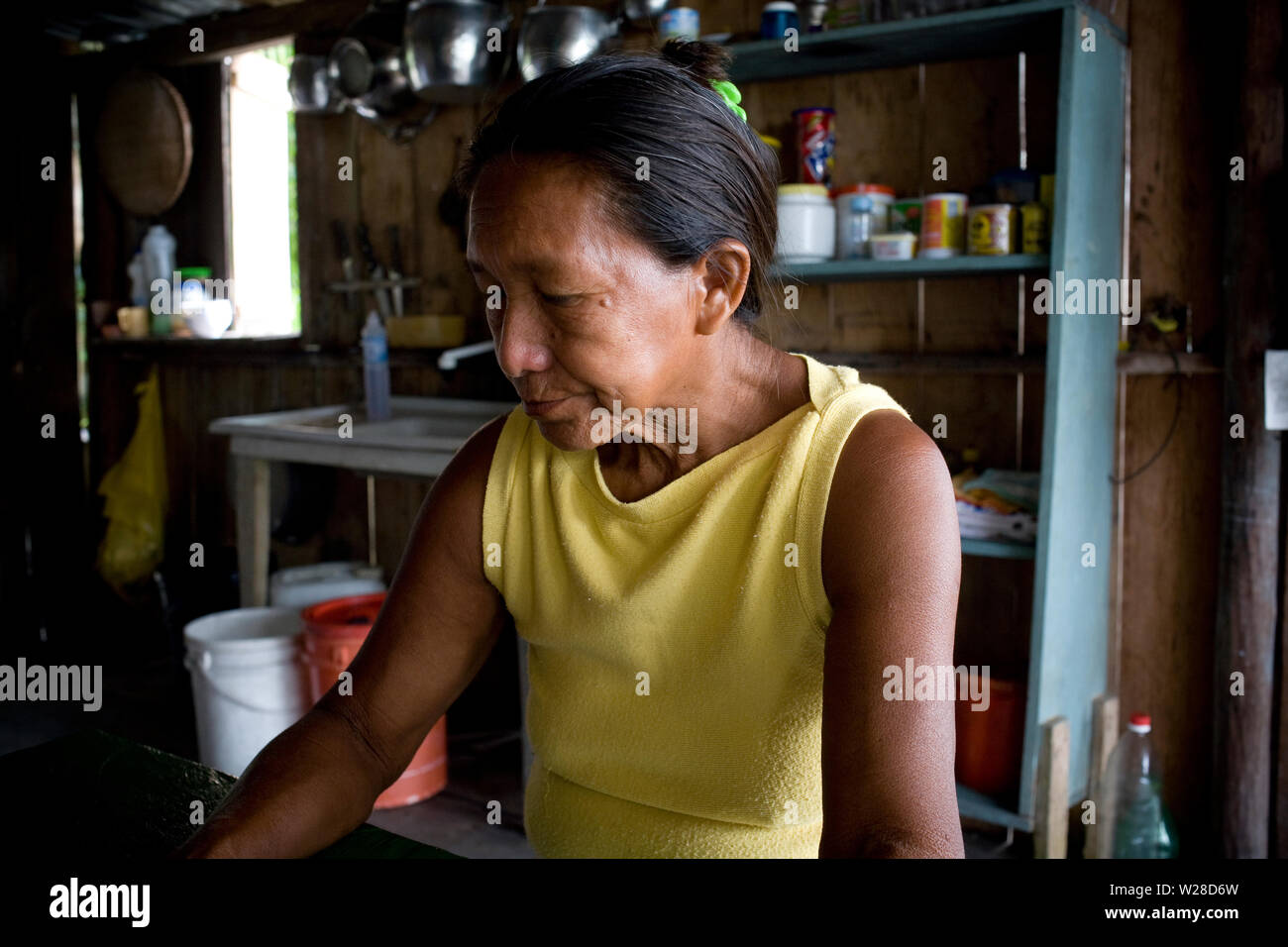 Seating woman, Cuieiras River, Amazônia, Manaus, Amazonas, Brazil Stock ...