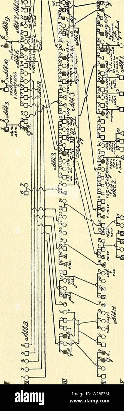 Harry hamilton laughlin hi-res stock photography and images - Alamy