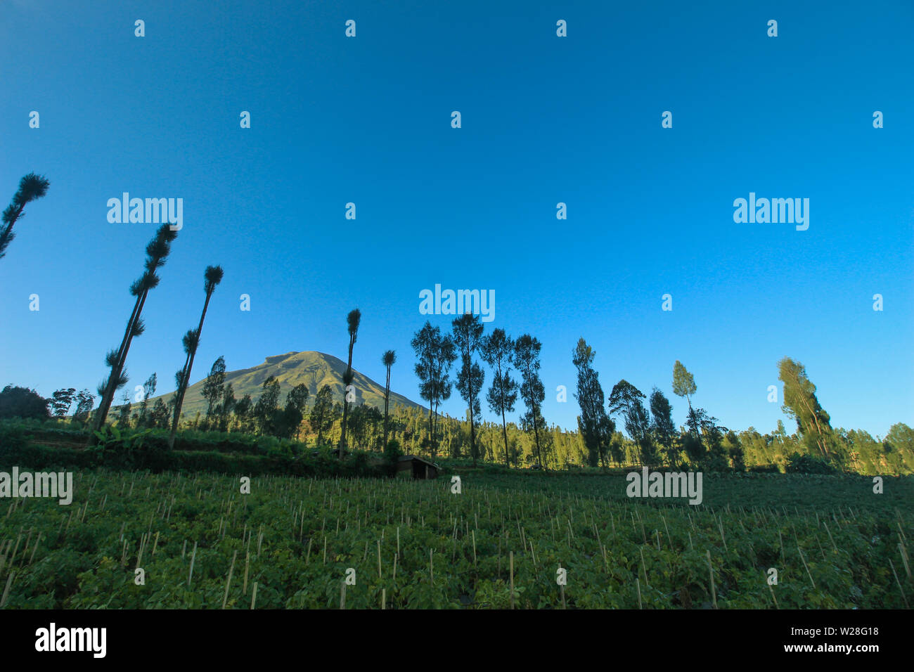 The volcano sindoro hi-res stock photography and images - Alamy