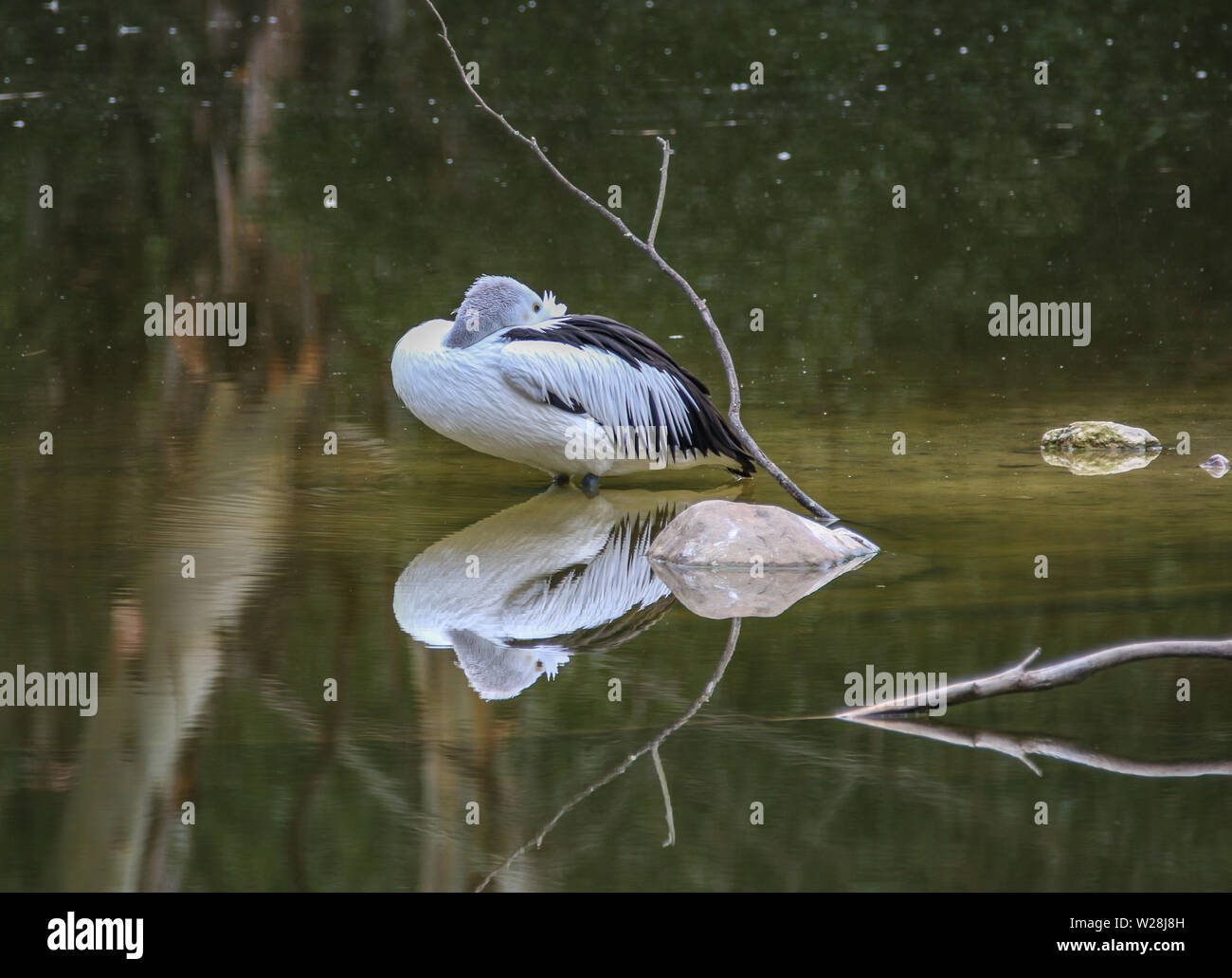 Australian nature reserve hi-res stock photography and images - Alamy