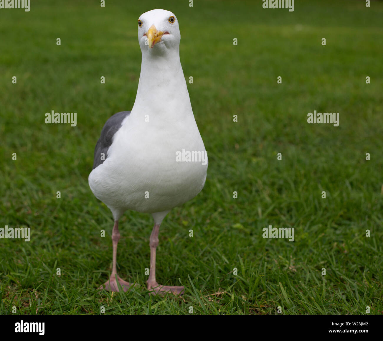 Camera tracking up hi-res stock photography and images - Alamy