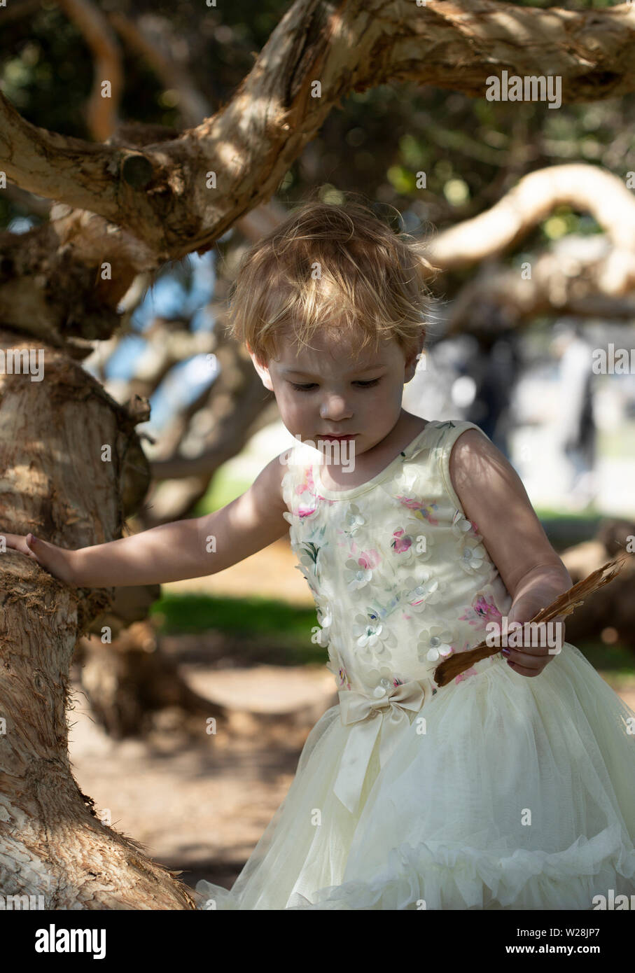 Fluffy dress hi-res stock photography and images - Alamy