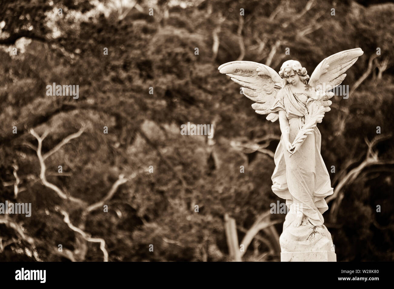 Statue angel looking down in hi-res stock photography and images - Alamy
