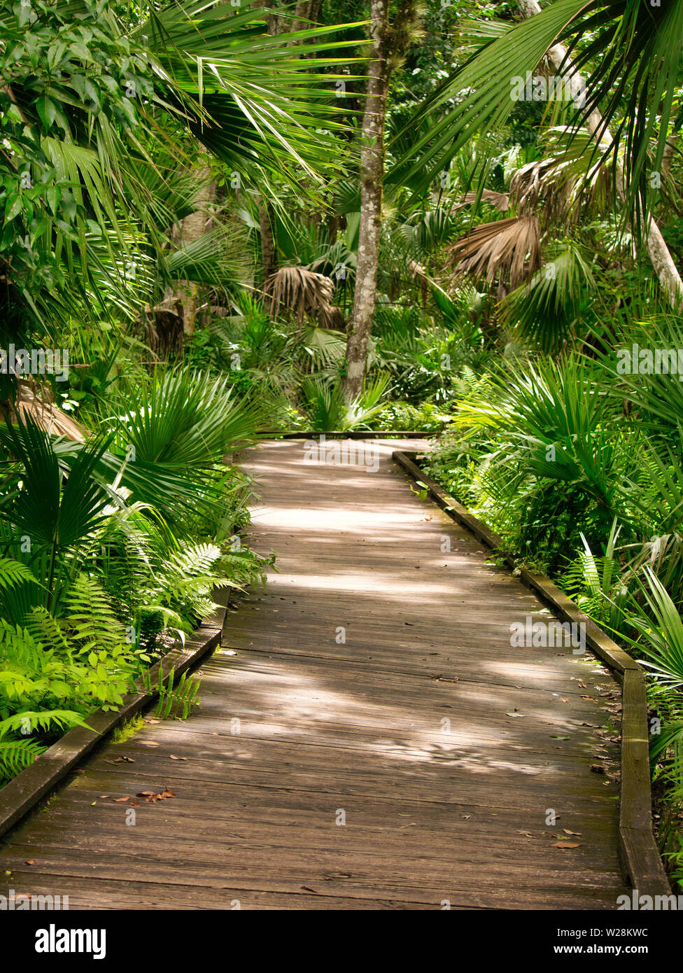 An amazing walk around Wekiwa Springs state park Stock Photo - Alamy
