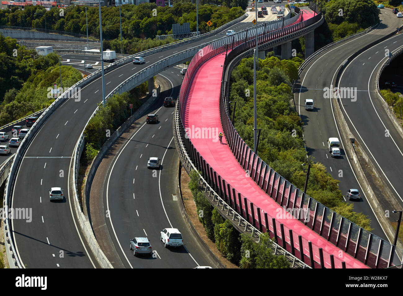 Commuters on motorways, and Lightpath cycleway, Auckland, North Island ...