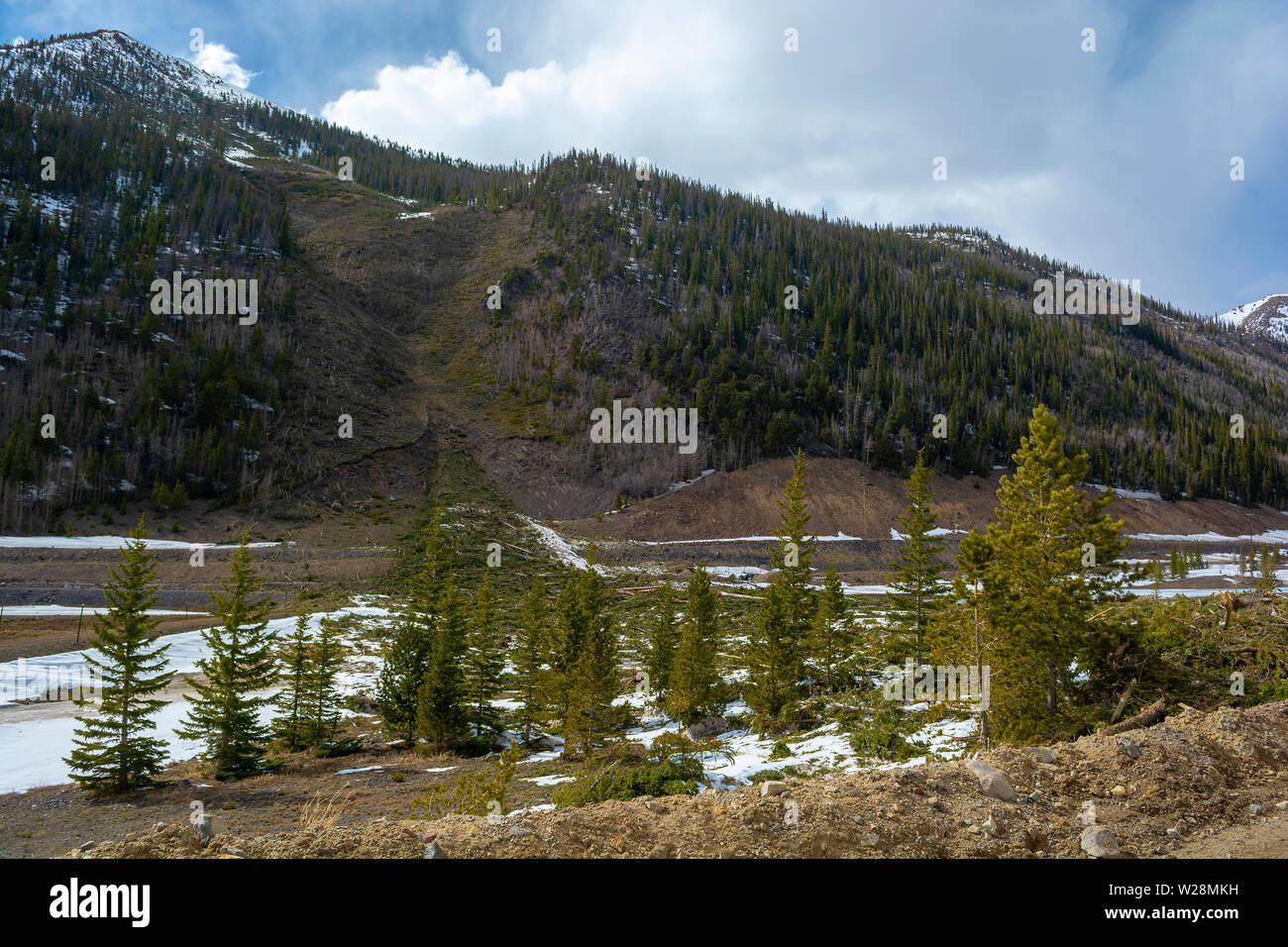 Fallen Trees and the Remains of a Mountain Avalanche Stock Photo - Alamy