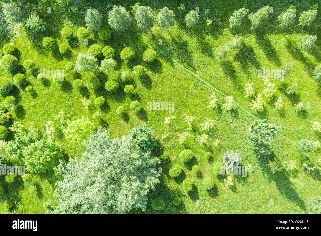 Birds eye view of garden with tree hi-res stock photography and images ...