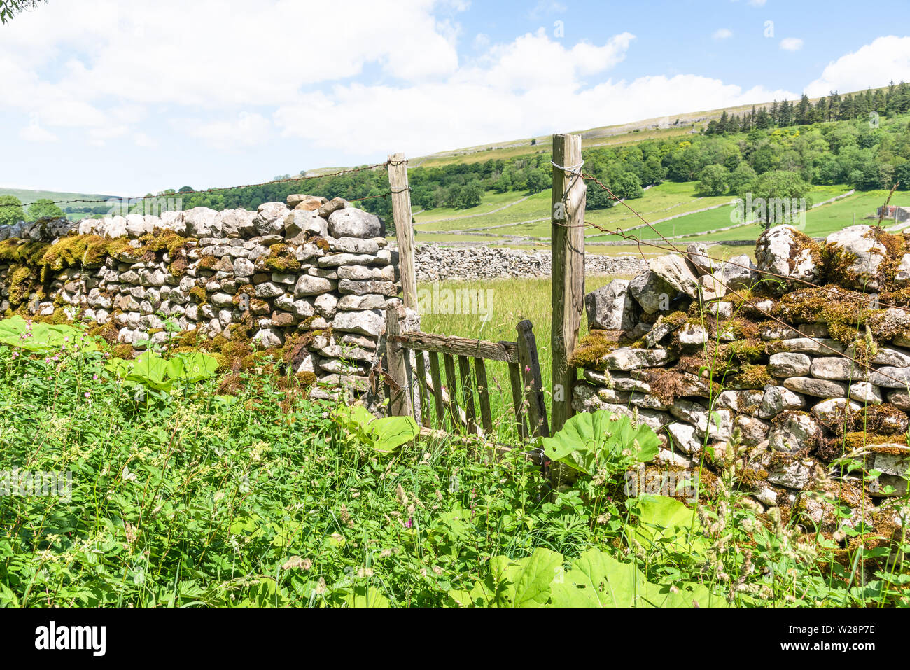 Overgrown gate hi-res stock photography and images - Alamy