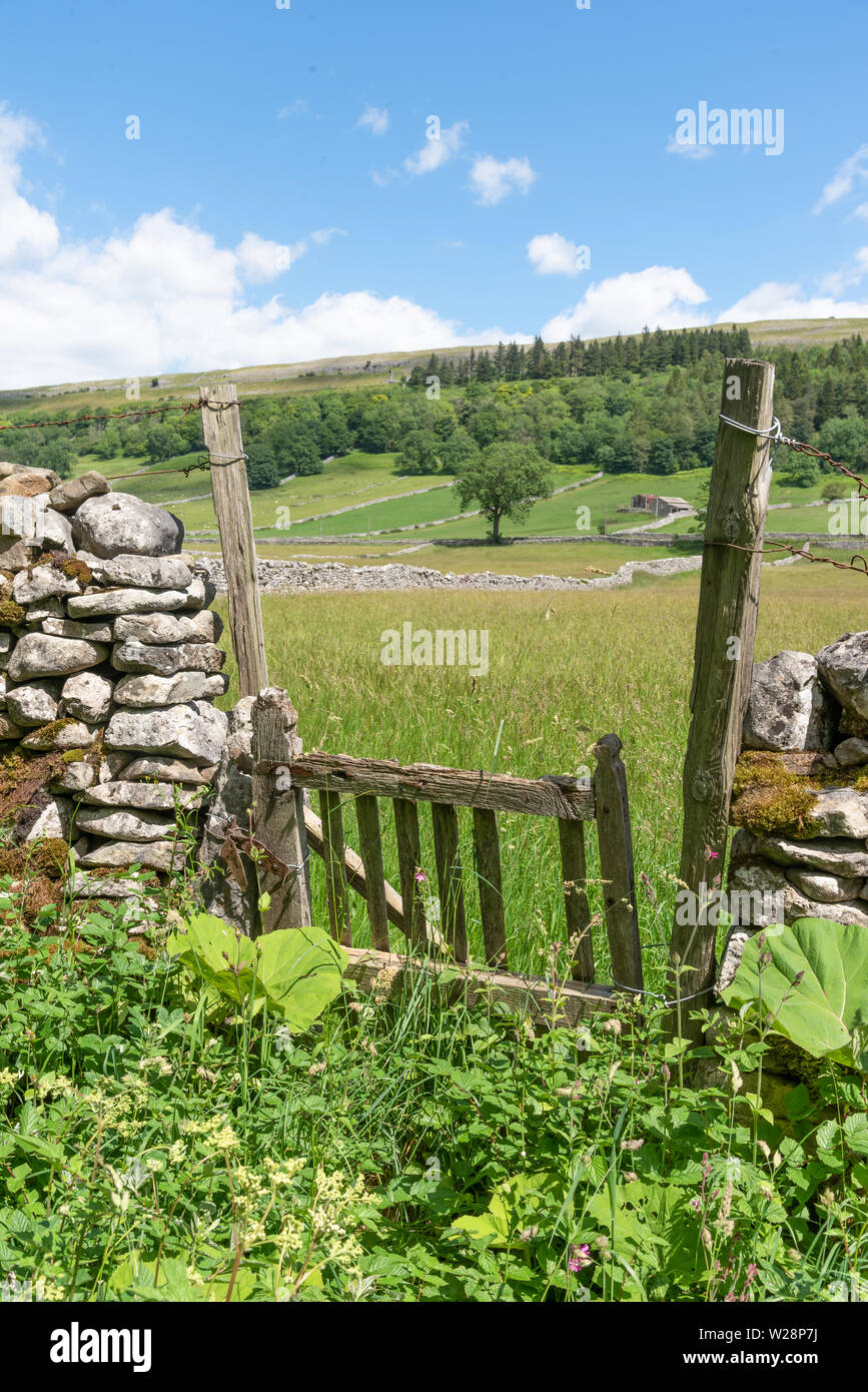 Gate with undergrowth hi-res stock photography and images - Alamy